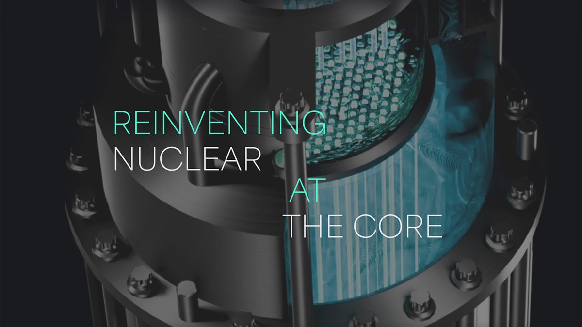 Dual Fluid coordinates international work on new reactor design - Dual ...